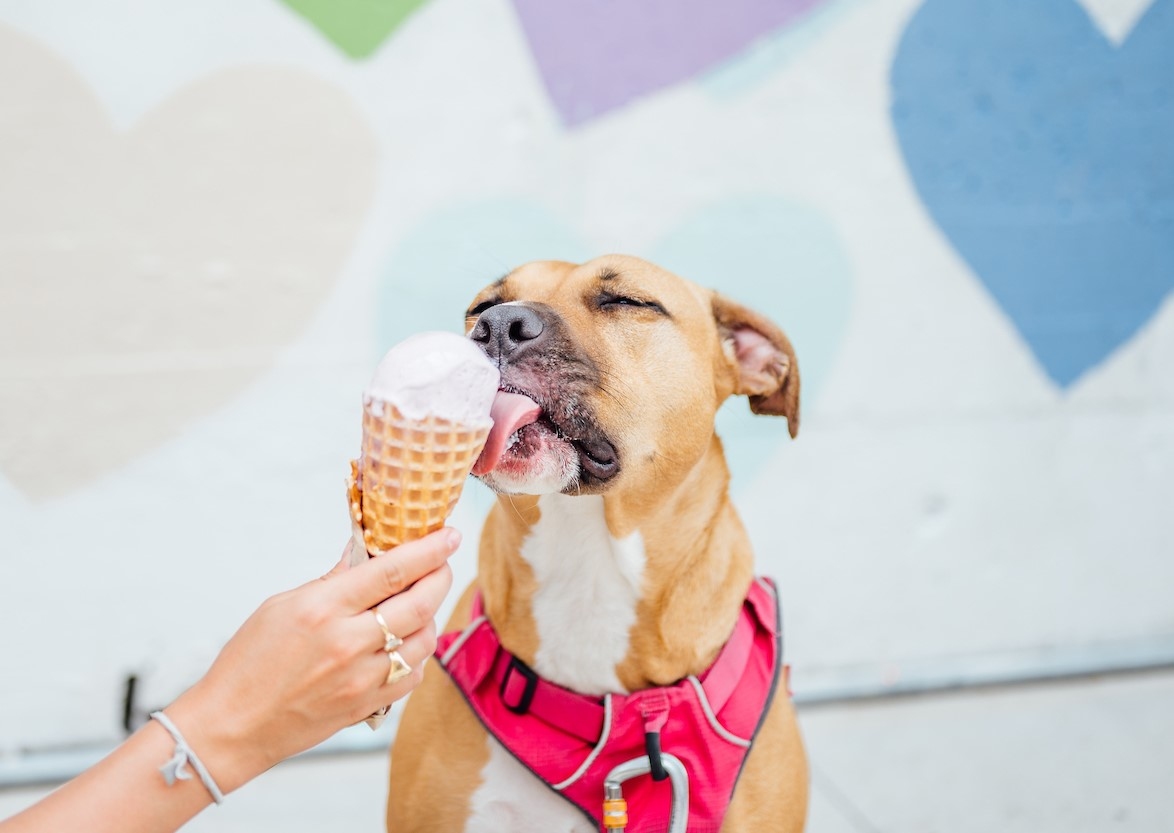 Spring in Charlotte | Things to Do in Charlotte | Spring 2022